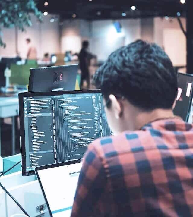 Software Development - Flamingo Services